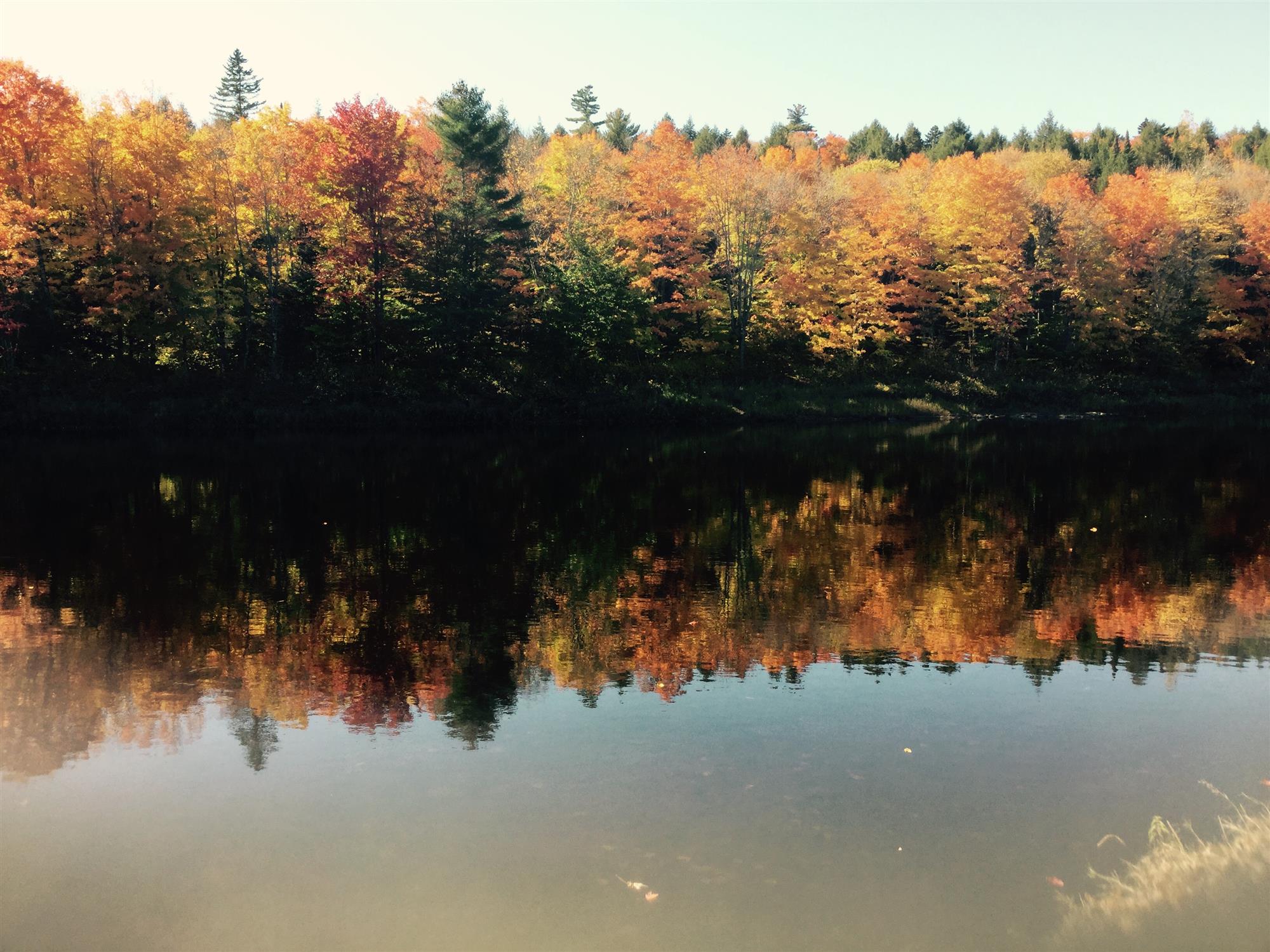 Pine Grove Campground in Medway, Maine - Accommodations