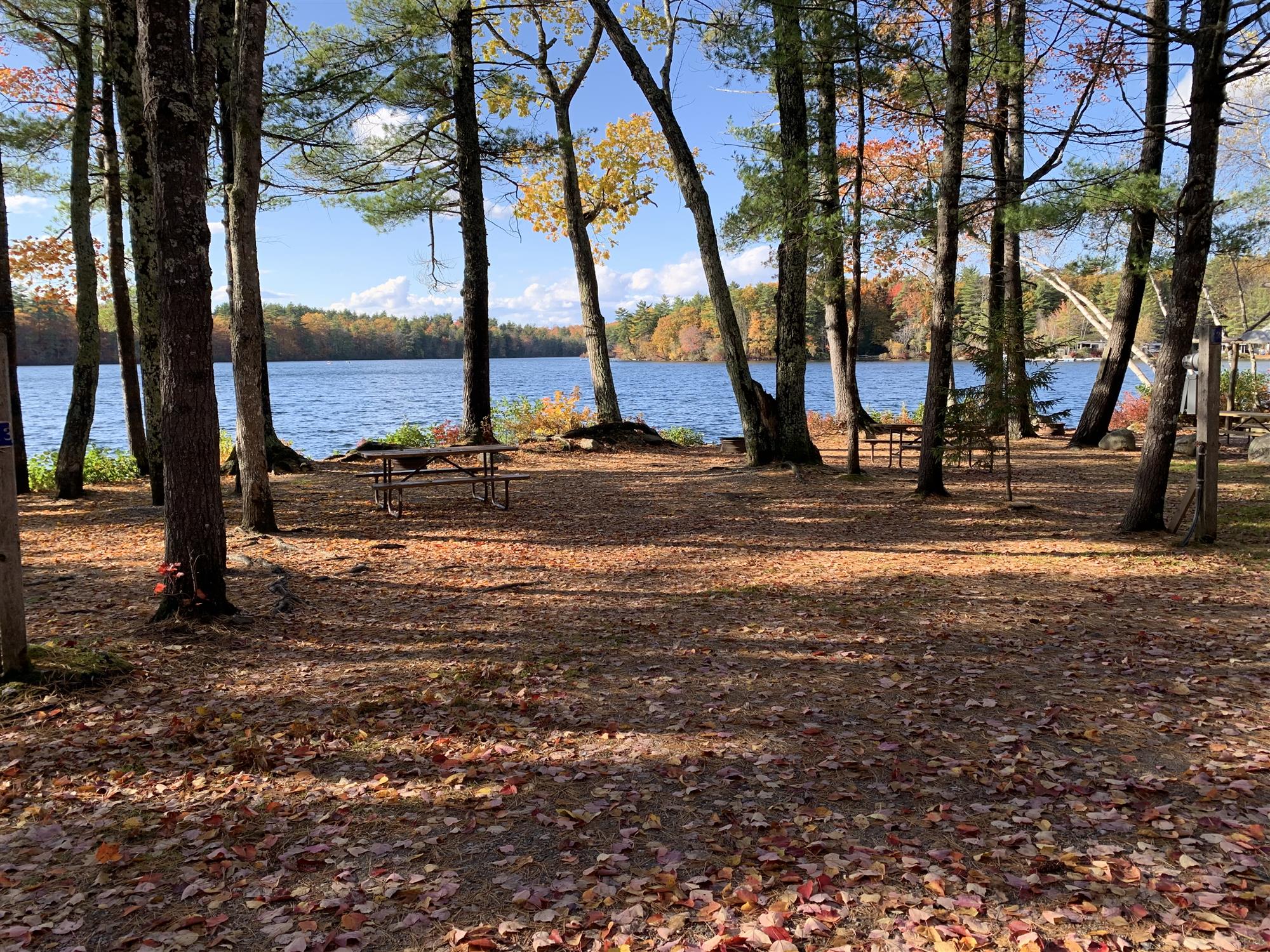 Loon's Haven Family Campground in Naples, Maine - Sites