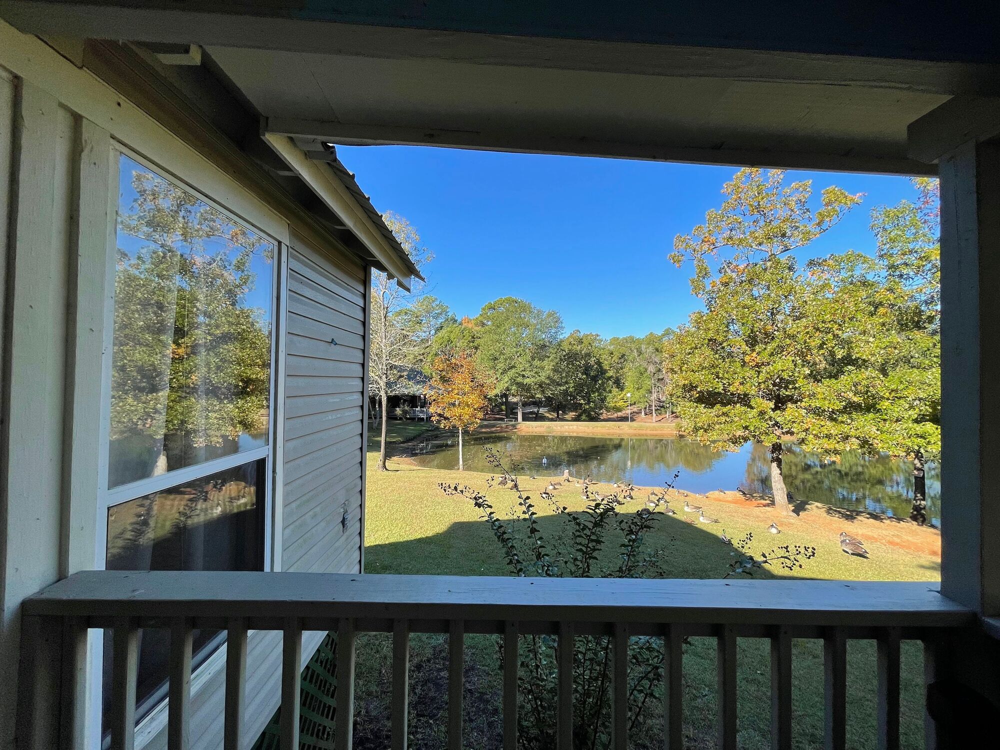 Wildwood Resort in Zwolle, Louisiana - Cabin 30