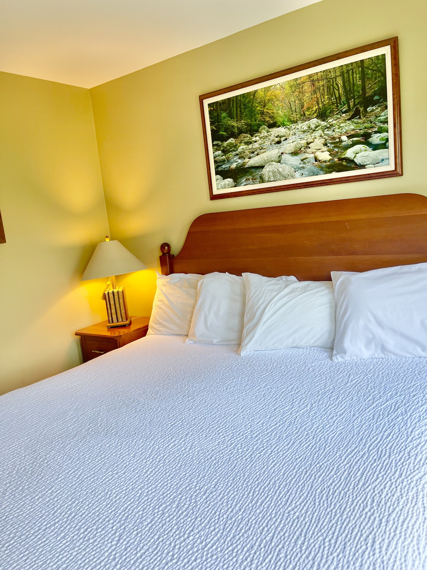 Hotel Floyd in Floyd, Virginia - Floyd Writers' Suite - 2BR Suite, 2 ...