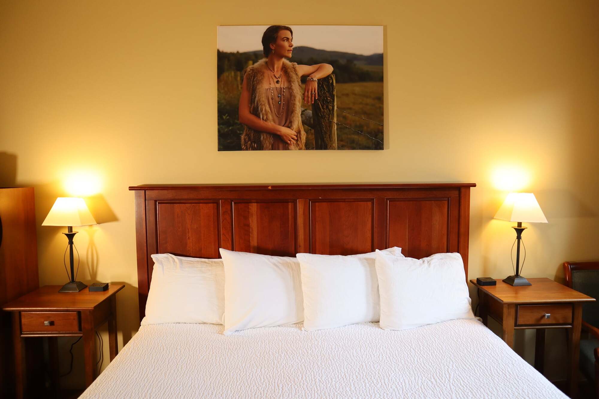 Hotel Floyd in Floyd, Virginia - Anne Vaugh Designs Room - 1 King - 109