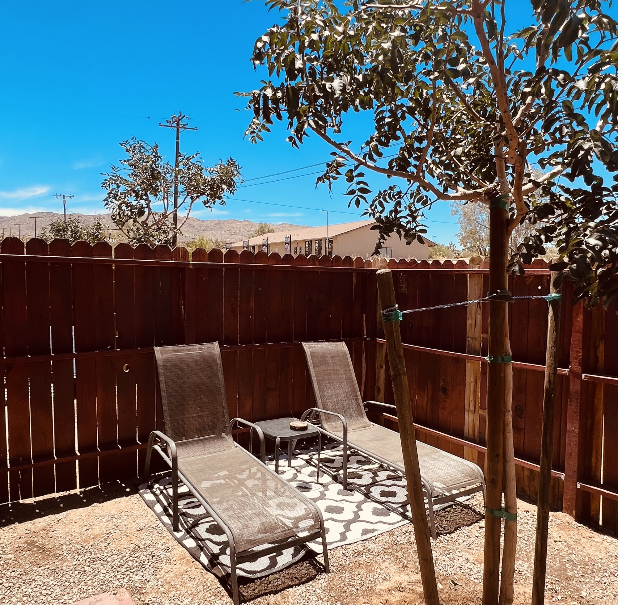 The Joshua Tree Inn In Joshua Tree, CA | Rooms and Rates