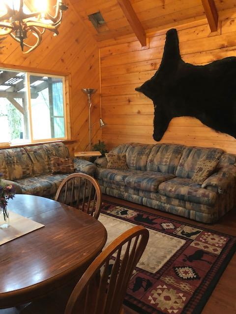Alaska Bears Den Cabins in Cordova, Alaska - 03) Grizzly Bear