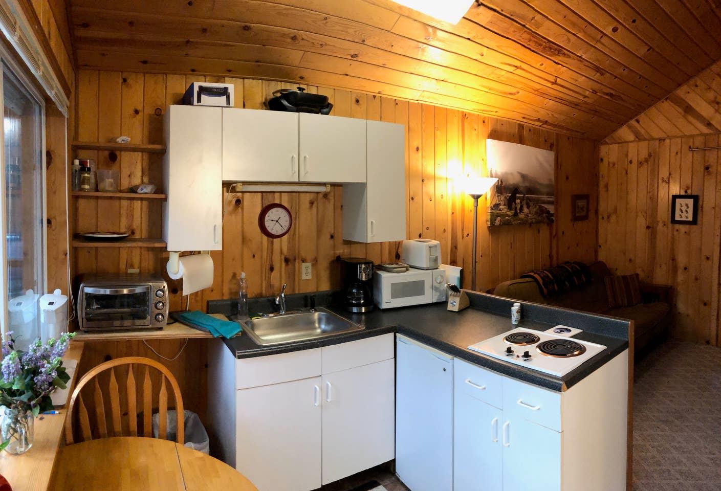 Alaska Bears Den Cabins in Cordova, Alaska - 01) Black Bear