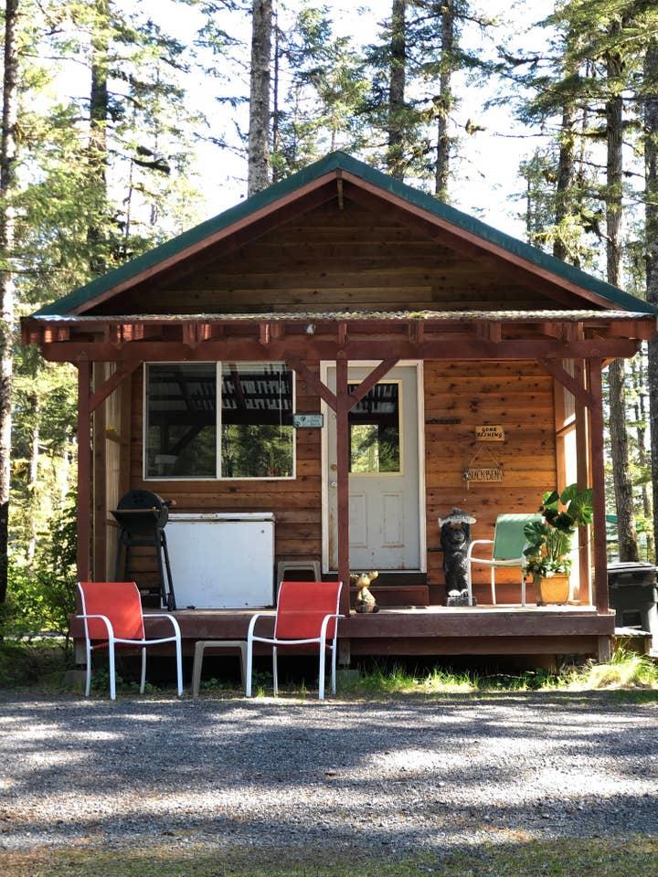 Alaska Bears Den Cabins in Cordova, Alaska - 01) Black Bear