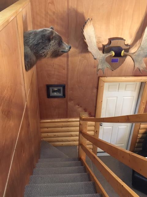 Alaska Bears Den Cabins in Cordova, Alaska - 05) Kodiak Bear